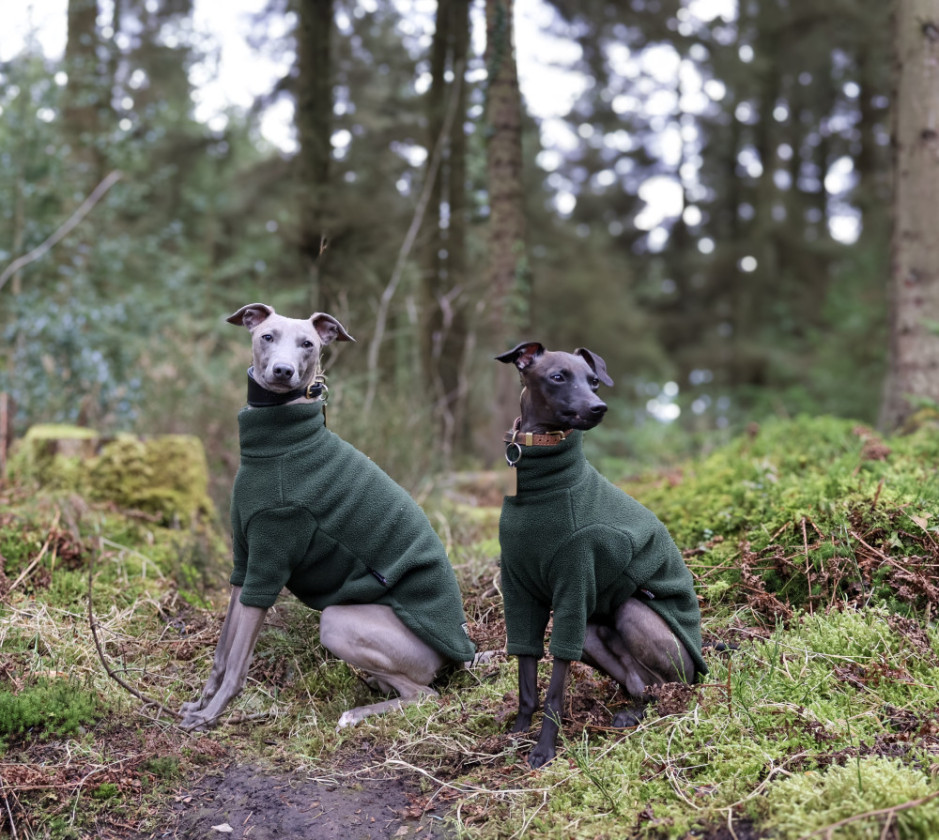 Polartec Fleece Dog Jumper - Rainproof, Breathable, Warm and Washable ...