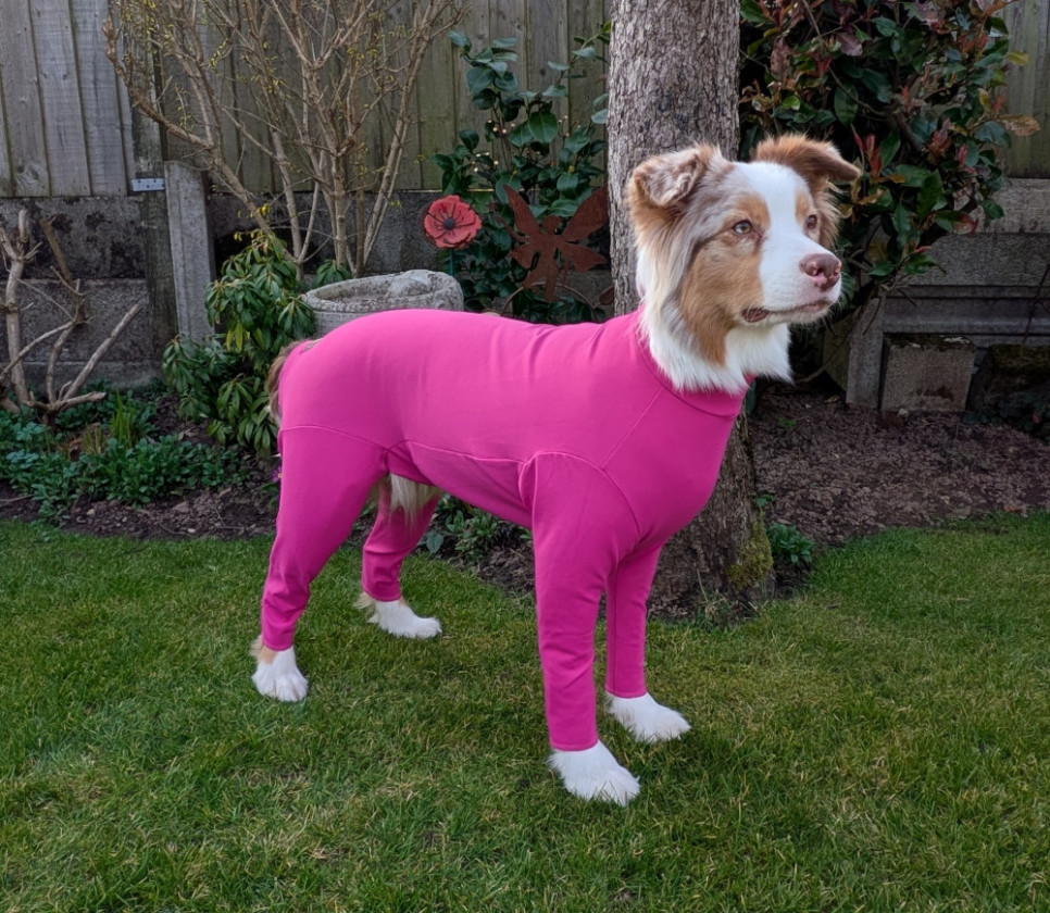 Dog Summer Suit - Equafleece