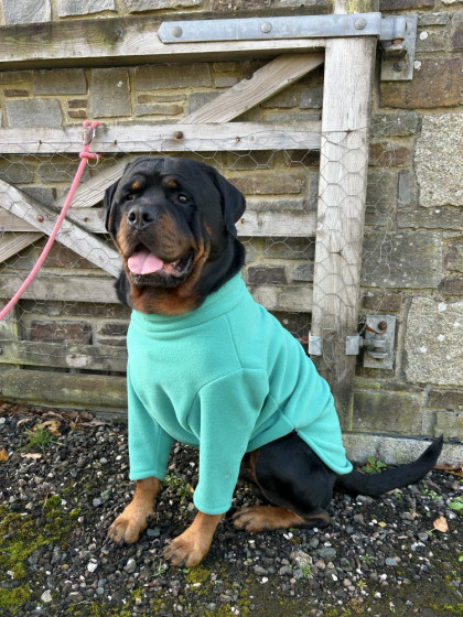 Polartec Fleece Dog Jumper - Rainproof, Breathable, Warm and Washable ...