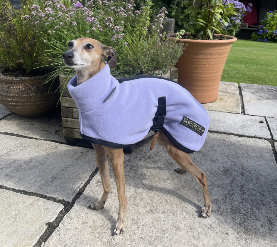 Polartec Fleece Polo Neck Dog Coat - Rainproof, Breathable, Warm and ...