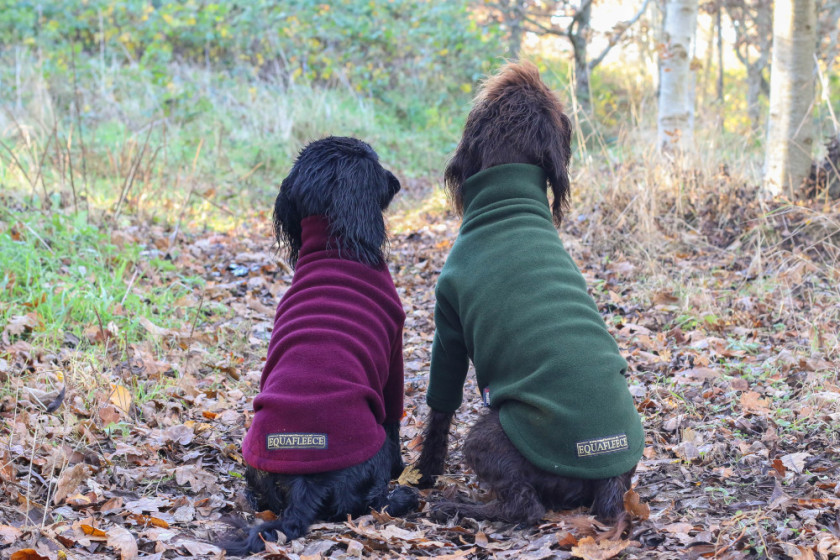Polartec Fleece Dog Jumper - Rainproof, Breathable, Warm and Washable ...