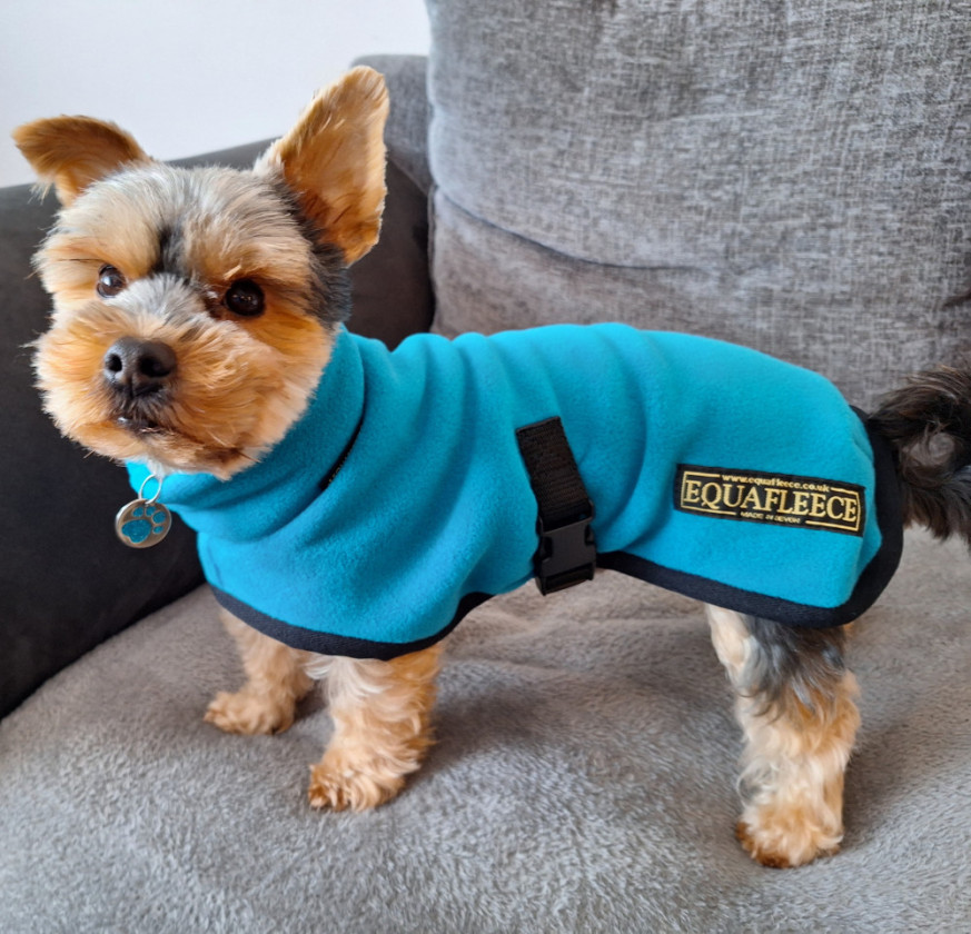 Polartec Fleece Polo Neck Dog Coat - Rainproof, Breathable, Warm and ...