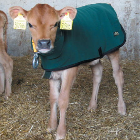 Polartec Calf Coats, Protect Calves From Rain and Cold - Equafleece