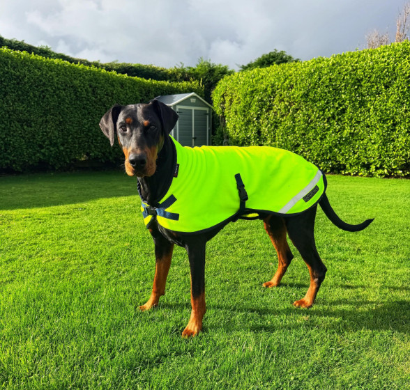 Polartec Fleece Dog Coat - Rainproof, Breathable, Warm and Washable ...