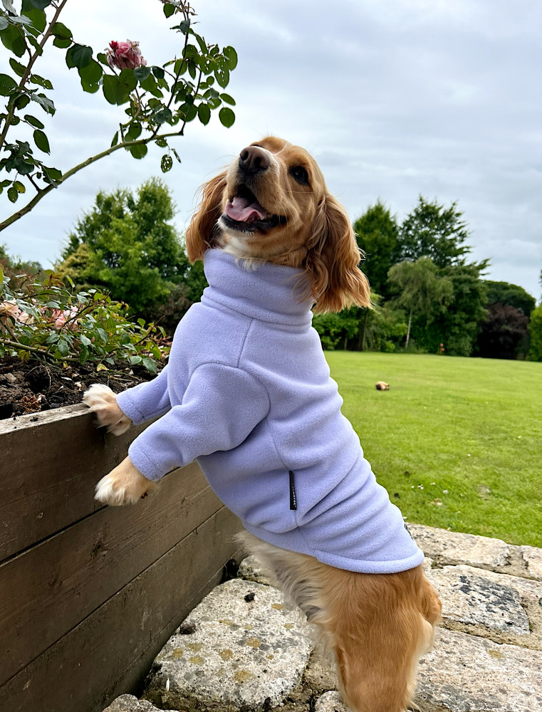 Polartec Fleece Dog Jumper - Rainproof, Breathable, Warm and Washable ...