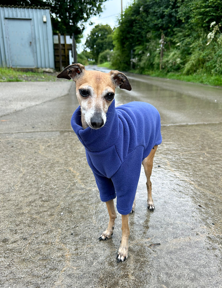 Polartec Fleece Dog Jumper - Rainproof, Breathable, Warm and Washable ...