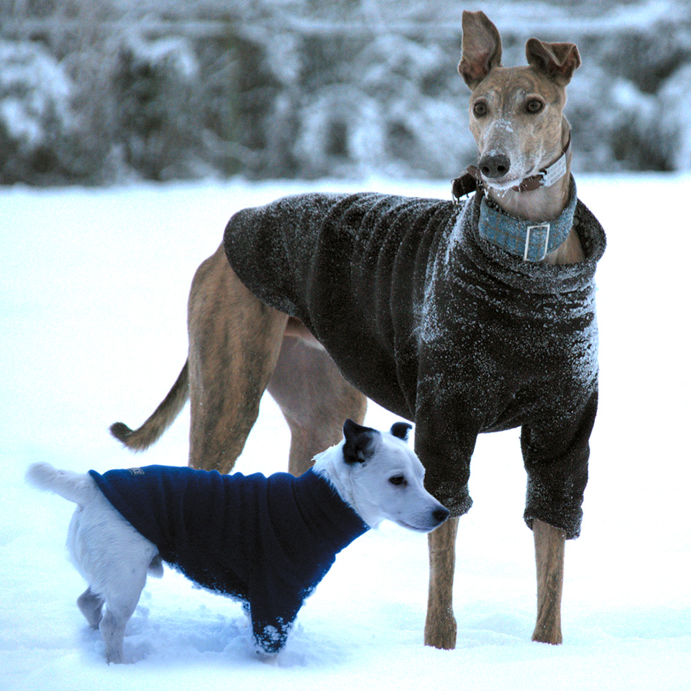 Photo Gallery, How Your Dog Could Look - Equafleece