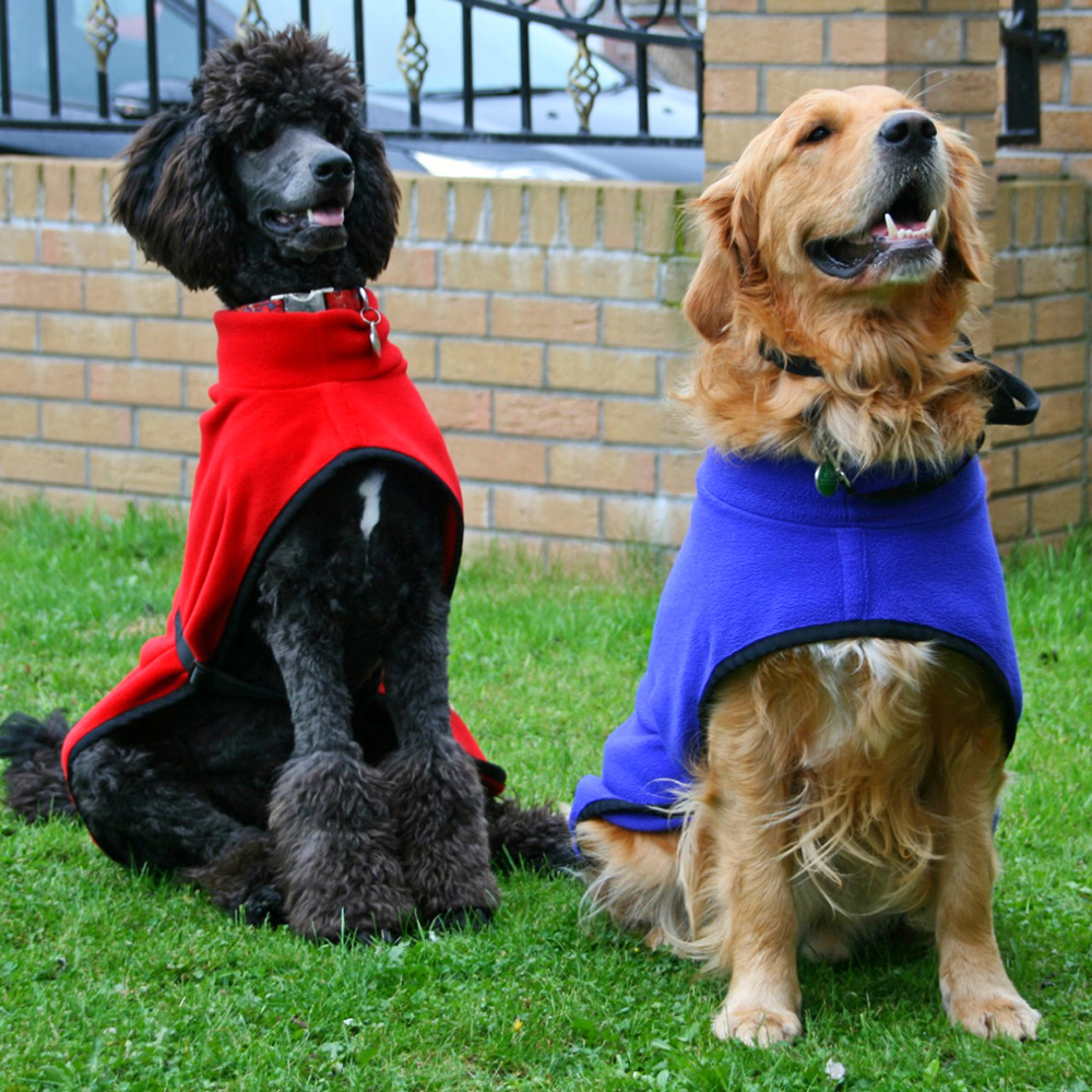 Photo Gallery, How Your Dog Could Look - Equafleece